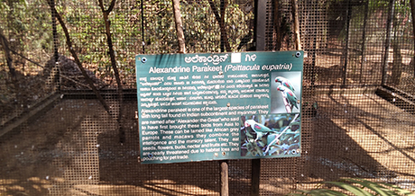 Mangalore Tourist Places-Pilikula