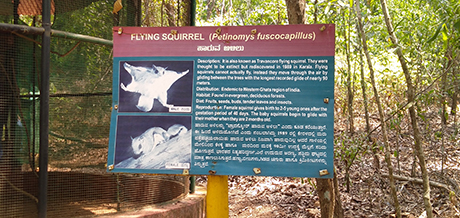 Mangalore Tourist Places-Pilikula