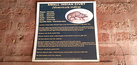 Mangalore Tourist Places-Pilikula