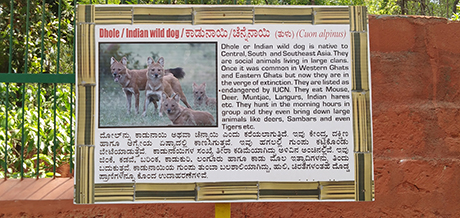 Mangalore Tourist Places-Pilikula