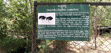 Mangalore Tourist Places-Pilikula