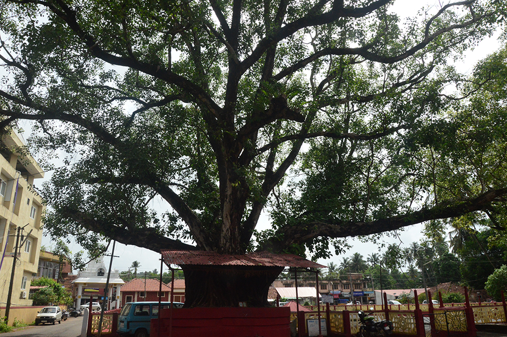 Mangalore Tourist Places- MAHALINGESHWARA TEMPLE