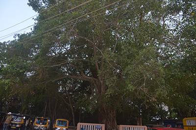 Mangalore Tourist Places-SHRI SOMANATHA SOMESHWARA TEMPLE